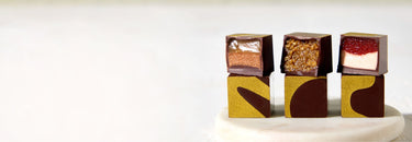 Shop – Dandelion Chocolate