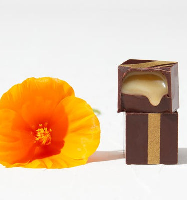 Shop – Dandelion Chocolate