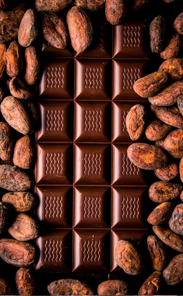 Dandelion Chocolate
